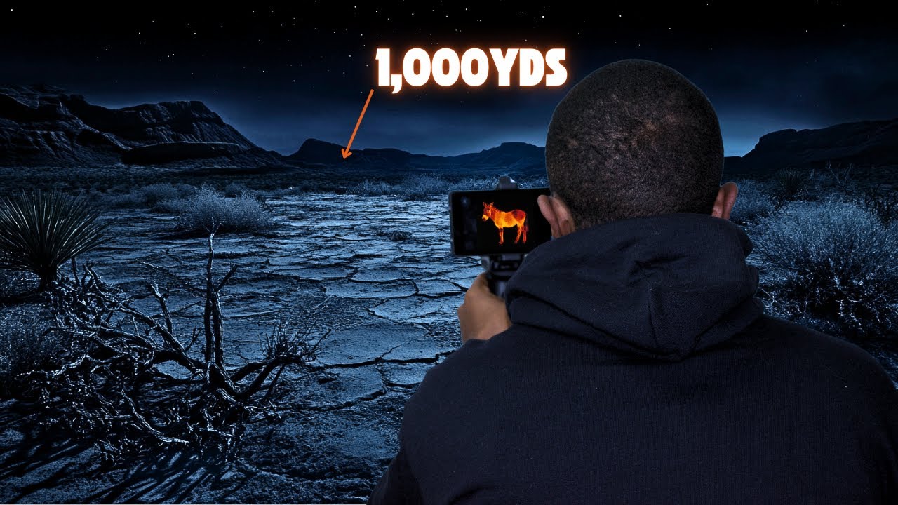 Spotting Wildlife with Thermal Vision: Testing the Thermal Master T2 ...
