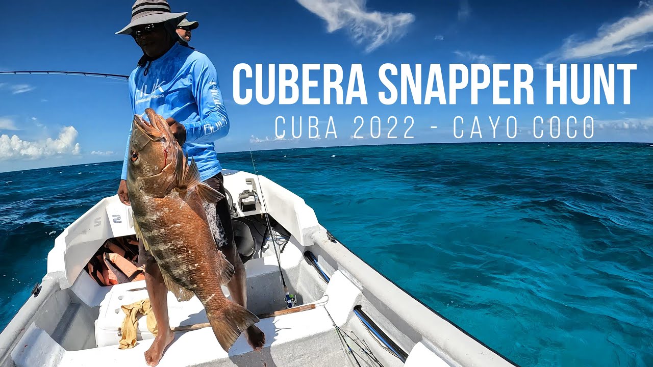 Cubera Snapper Hunt - Fishing Cuba 2022 - Melia Cayo Coco - New Beach ...