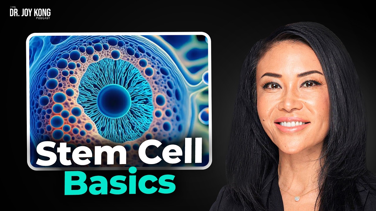 Understanding Stem Cells: Types, Risks, and Benefits Explained - YouTube