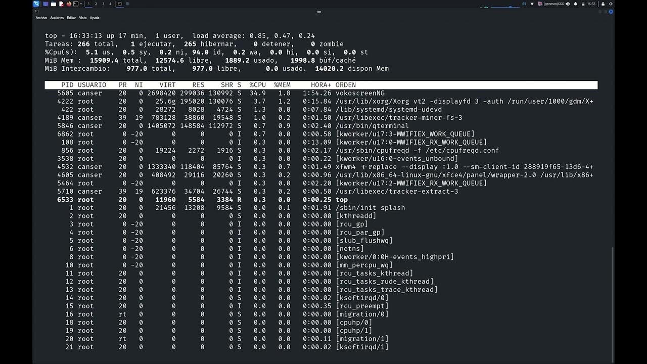 Como mantener actualizado Kali Linux automáticamente con un script en bash - YouTube