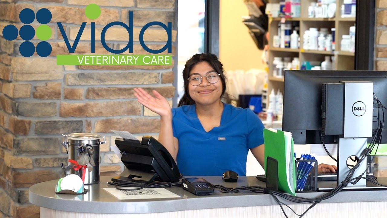 The Vida Flow - YouTube