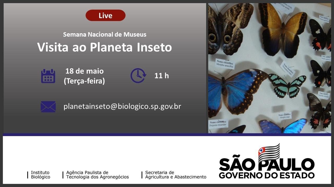 Semana Nacional de Museus - Visita ao Planeta Inseto - YouTube