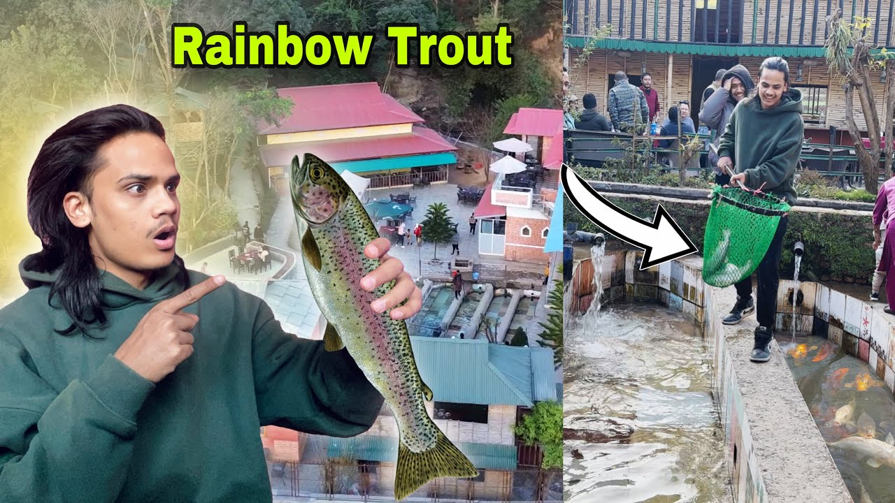 Trout Fishing Near Kathmandu | Sirupate Trout Farm In Godawari | Fresh ...