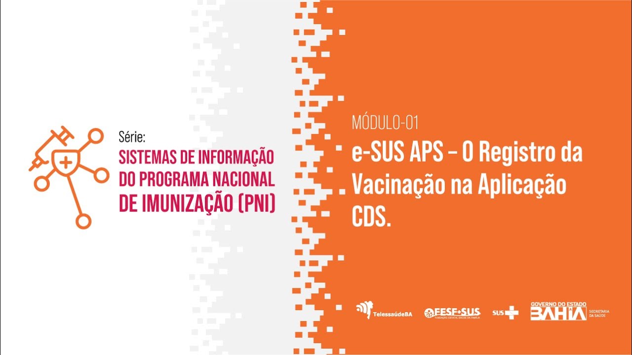 Série (PNI) - e-SUS APS – Módulo 01: O Registro da Vacinação na ...