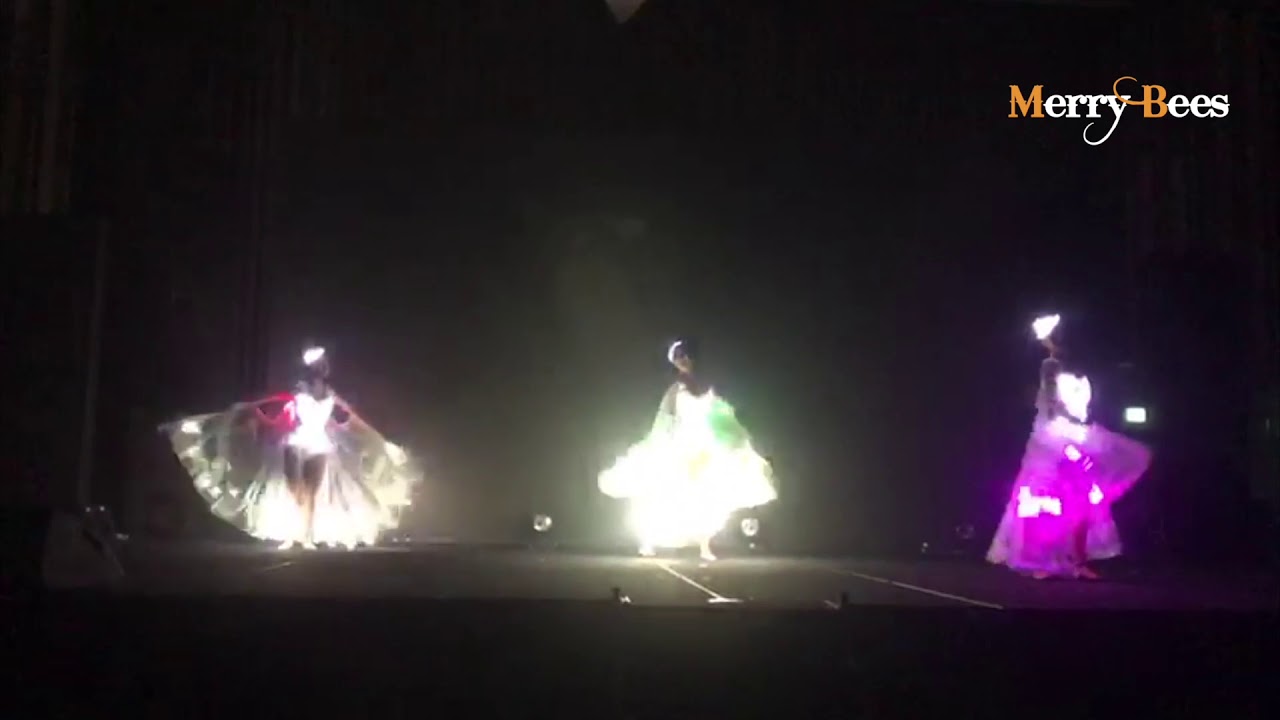 Merry Bees - LED Enchanted Fairy Dancers - YouTube