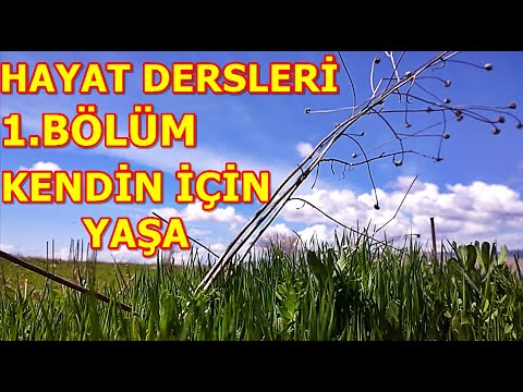 HAYAT DERSLERİ 1. BÖLÜM (KENDİN İÇİN YAŞA)