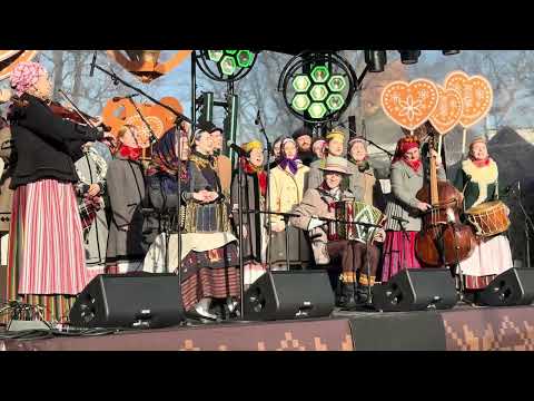 VU folkloro ansamblis \