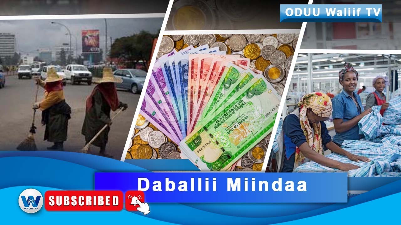 Hojjettoota mootummaa miindaa gadaanaa argataniif daballii dhibbeentaa ...