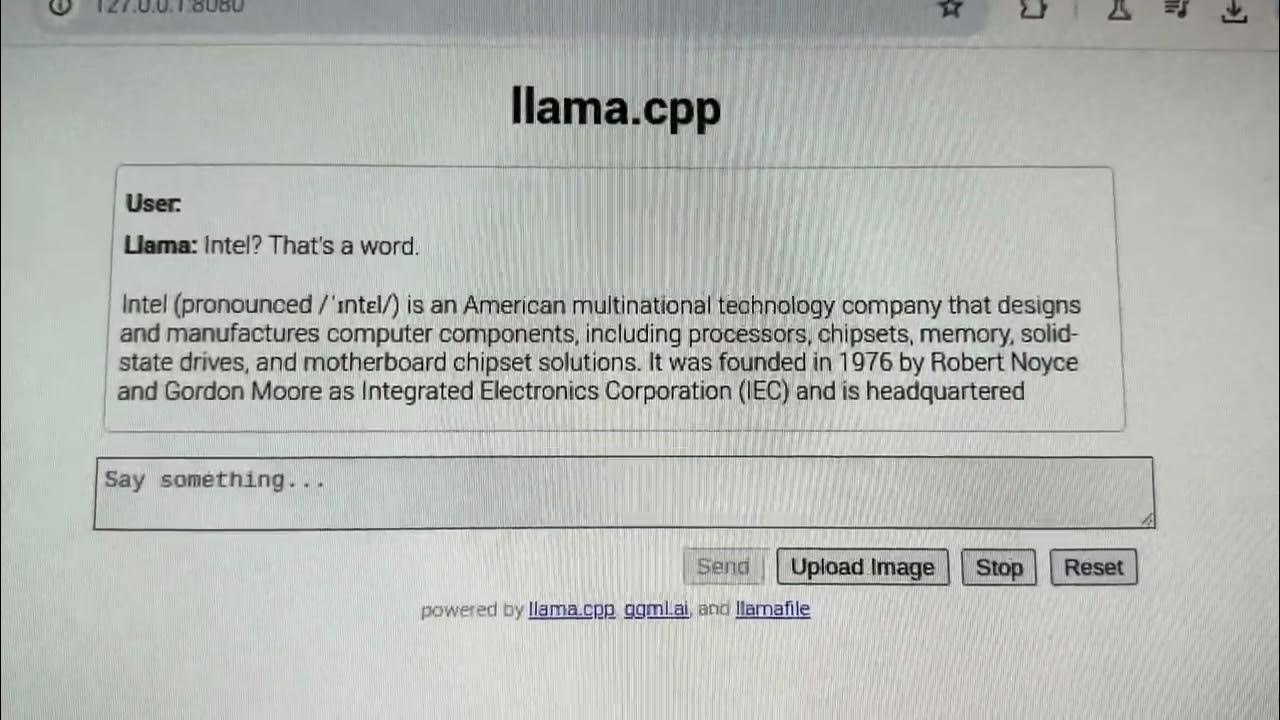 Tiny Llama LLM Running on my Raspberry Pi 5 with a Hailo AI Hat - YouTube