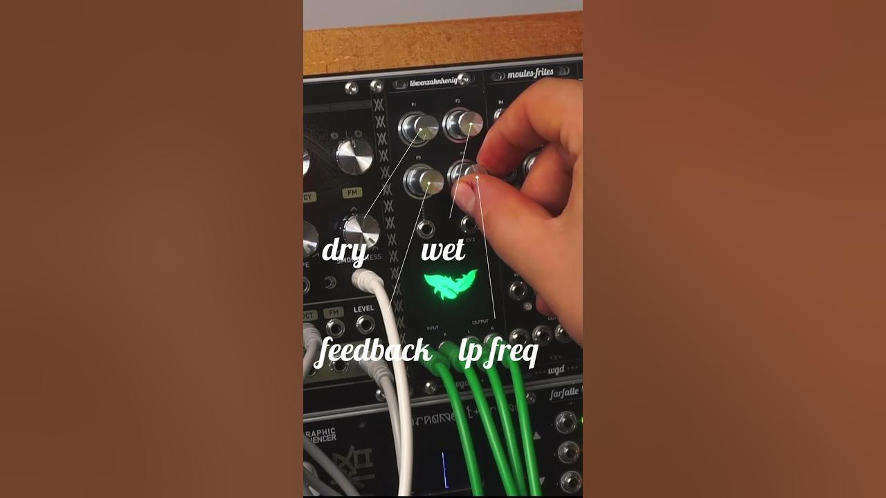 WGD Modular LÖWENZAHNHONIG Demo 🍯 - YouTube