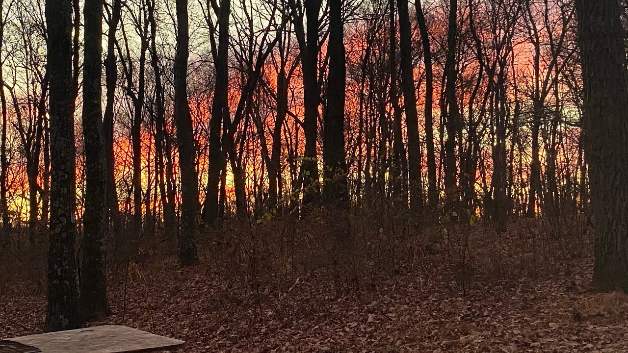 Day 15 - Gansett Girl Hikes the Appalachian Trail - Thru- Hike 2024 / ...