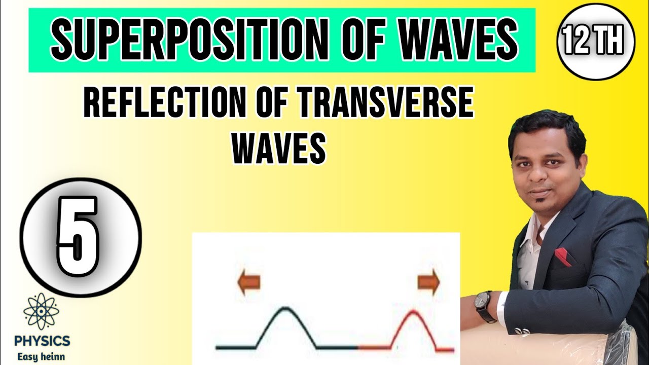 #5 Reflection of transverse waves | Superposition of waves - YouTube
