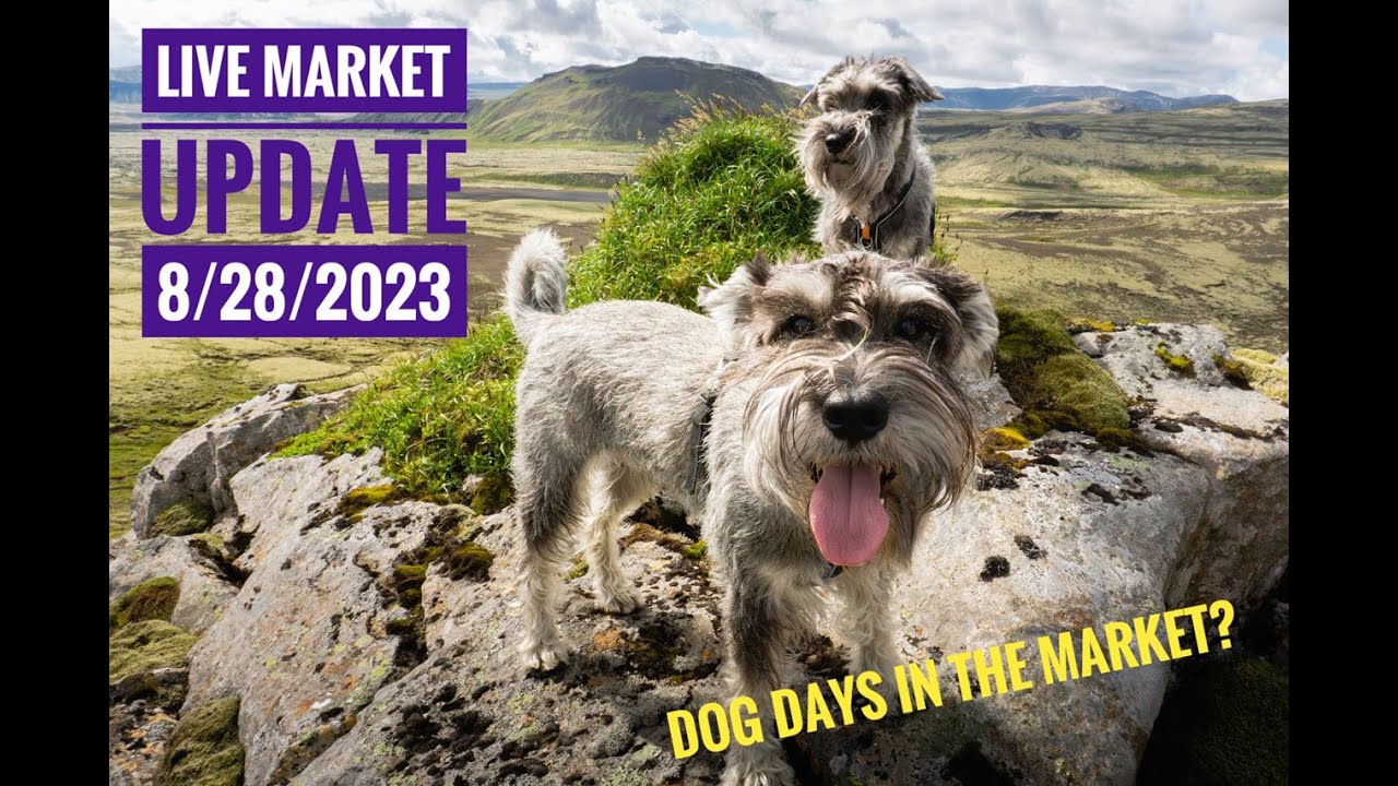 Live Market Update with 12 Minute Trading - Dave Lukas and Doc Severson ...