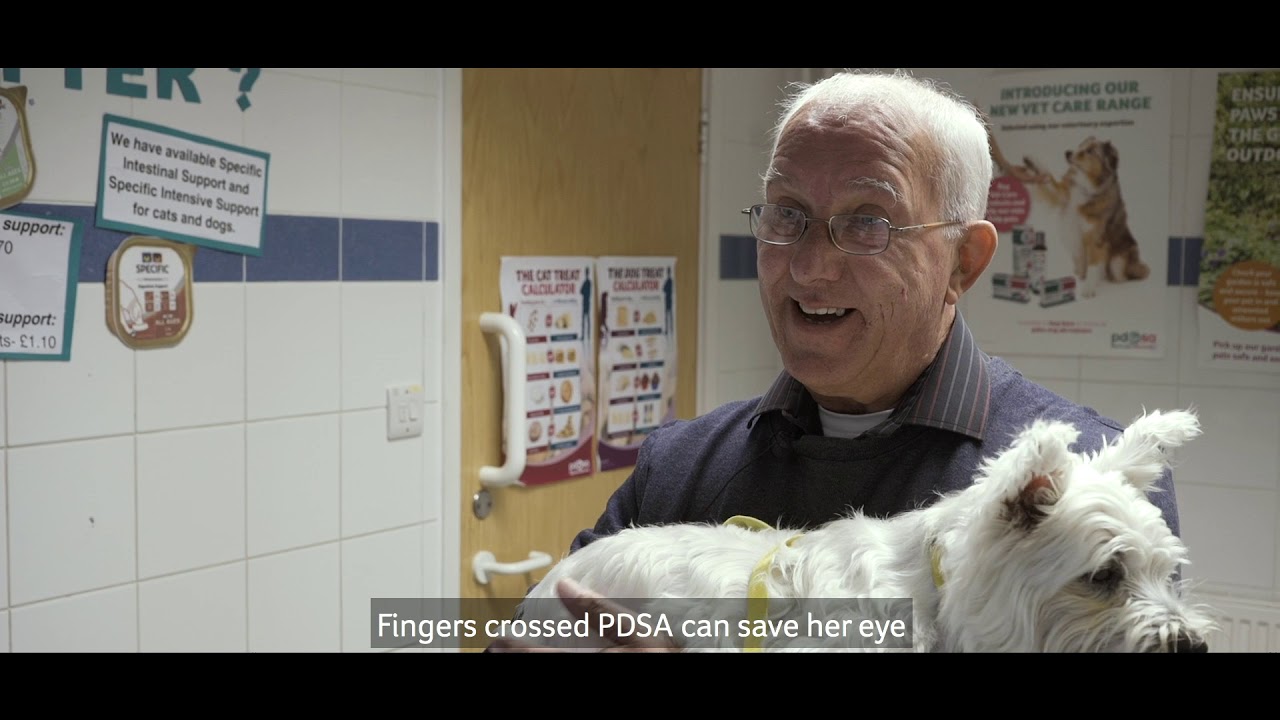 Meet the real-life inspiration behind PDSA’s TV Advert - YouTube
