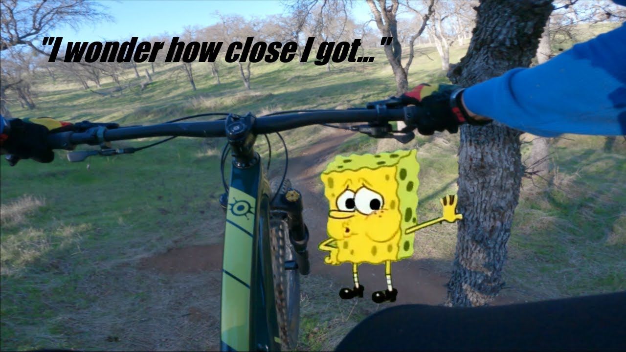 Watch out for that Tree - YouTube
