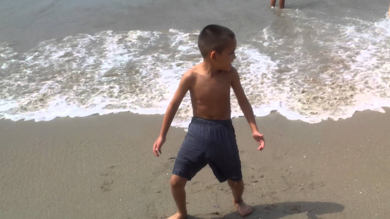 Peter la anguila - YouTube