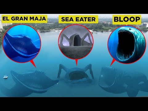 GERÇEK HAYATTA BLOOP,  EL GRAN MAJA, SEA EATER DRONE KAMERALARINA YAKALANDI !! (Hepsi Yakalandı)