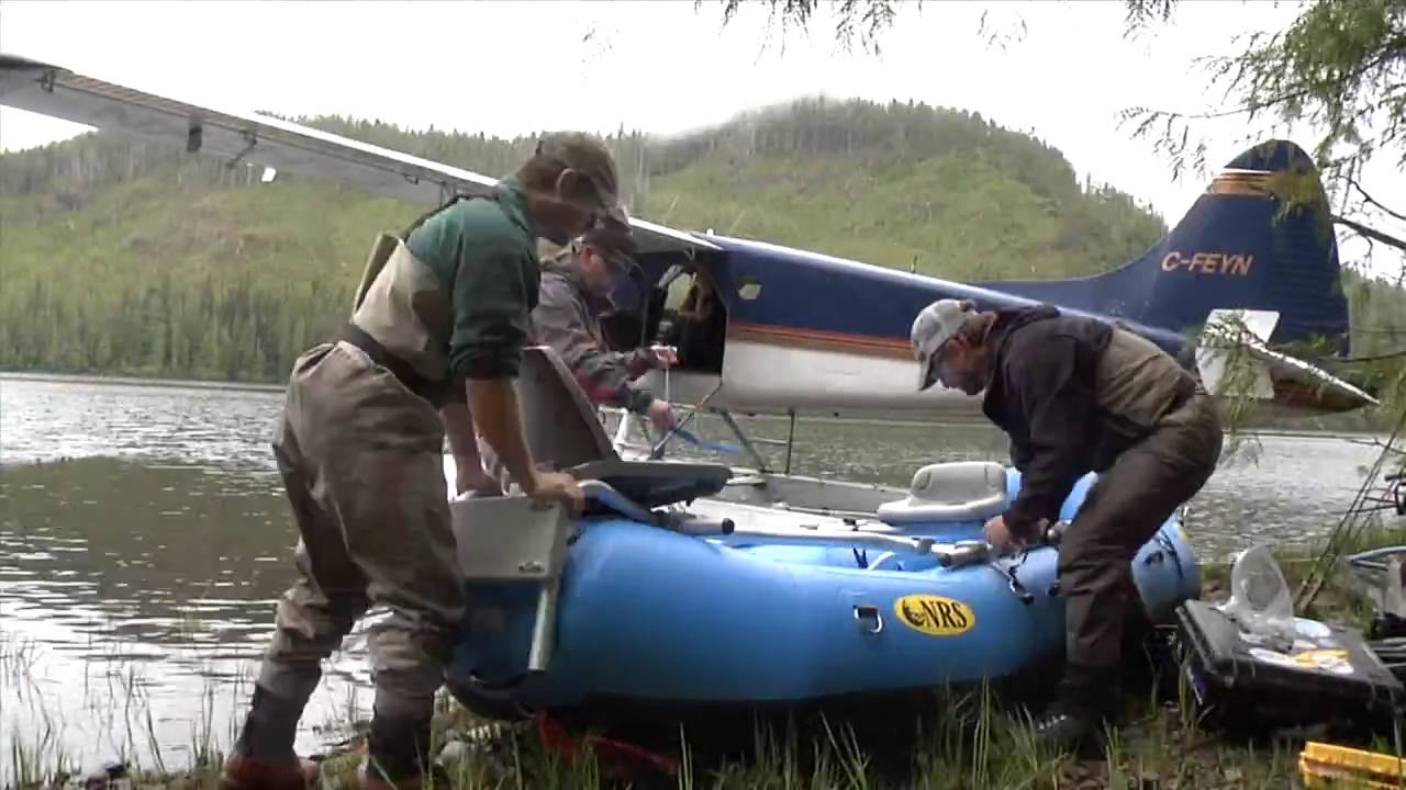 Fly fishing for trout out of a float plane - YouTube