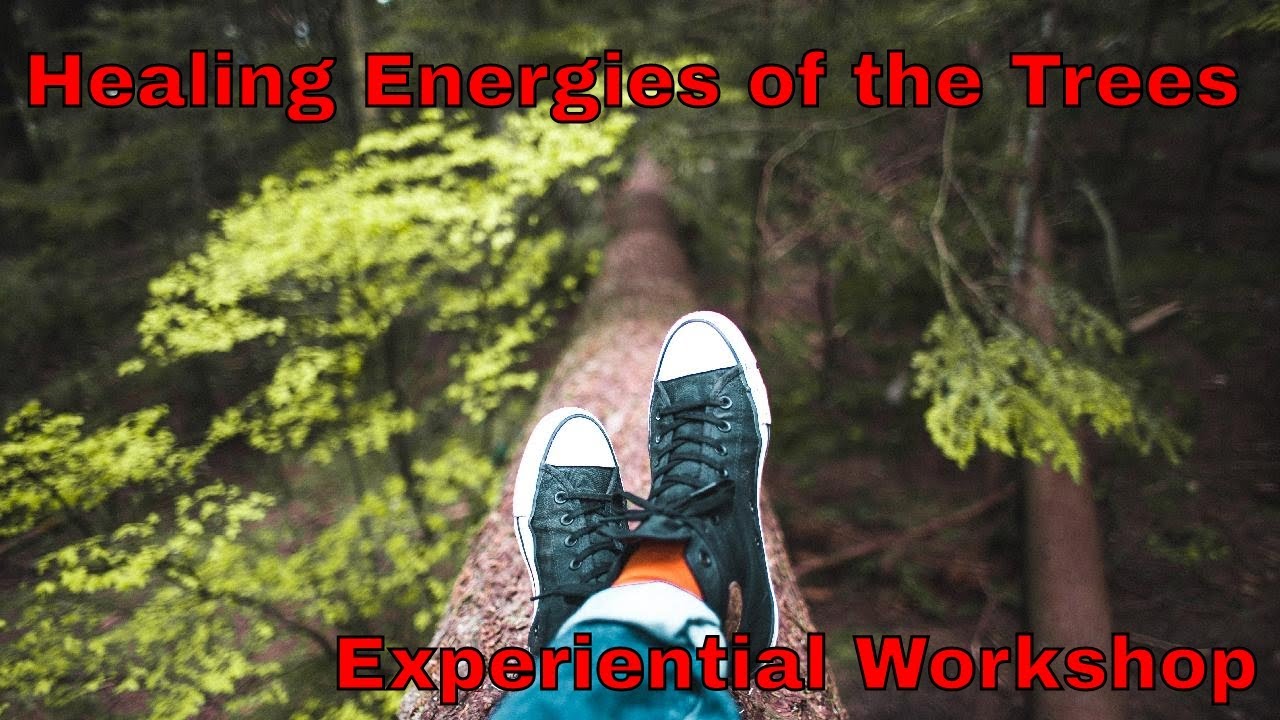 Healing Energies of the Trees: Experiential Workshop - YouTube