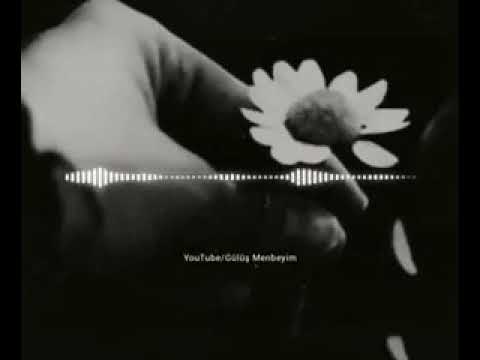 ~Həm qəm var hem kedər~Status üçün sevgi vidyoları❤️#sevgividyoları