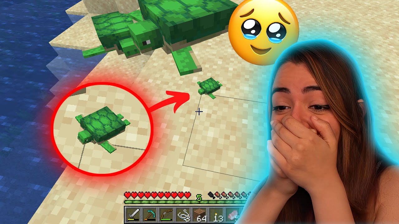 Woman See Baby Turtle, Woman Happy😂 Funniest Minecraft Moments - YouTube
