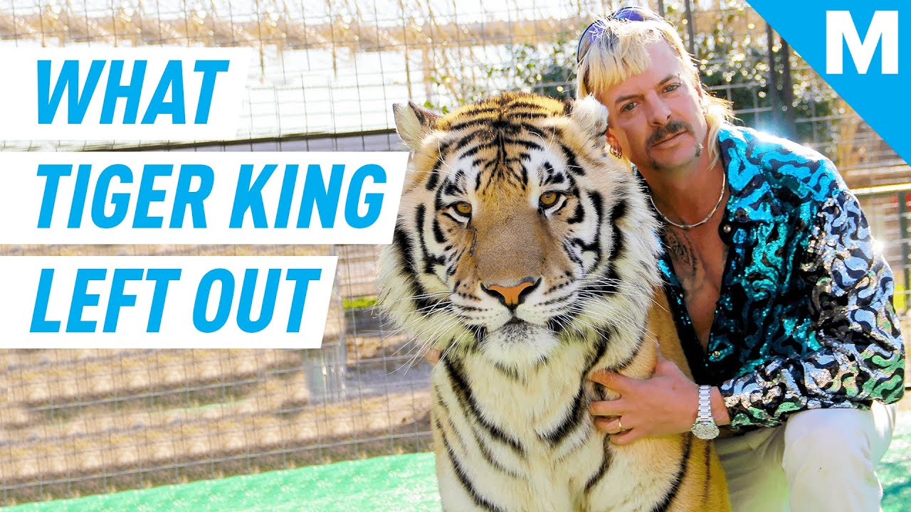 5 Wild Facts Left Out Of Netflix's 'Tiger King' | Mashable - YouTube