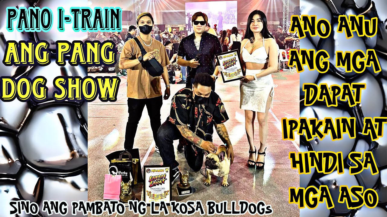 PANO ITRAIN ANG PANG DOGSHOW ANUANO MGA DAPAT AT HINDI DAPAT PARA ...