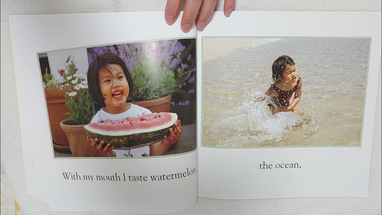 MY FIVE SENSES - BY MARGARET MILLER - YouTube