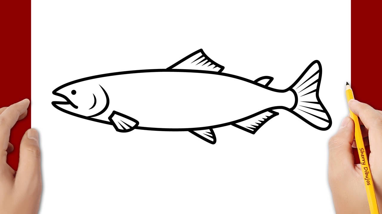 Cómo Dibujar Un Salmón | Dibujos Fáciles - YouTube