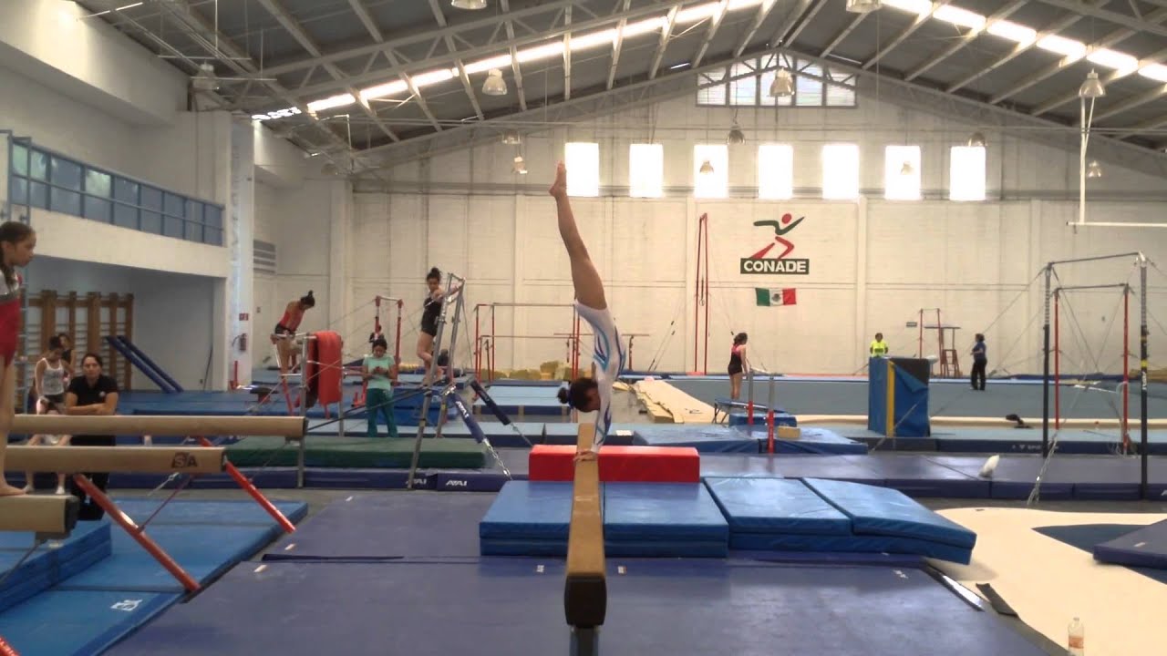 Age Group Programme – Women's Artistic Technical Ability Testing ...