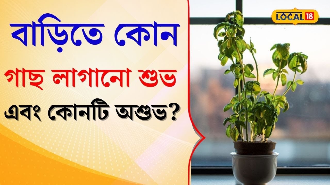 Astrology Tips astrology-tips