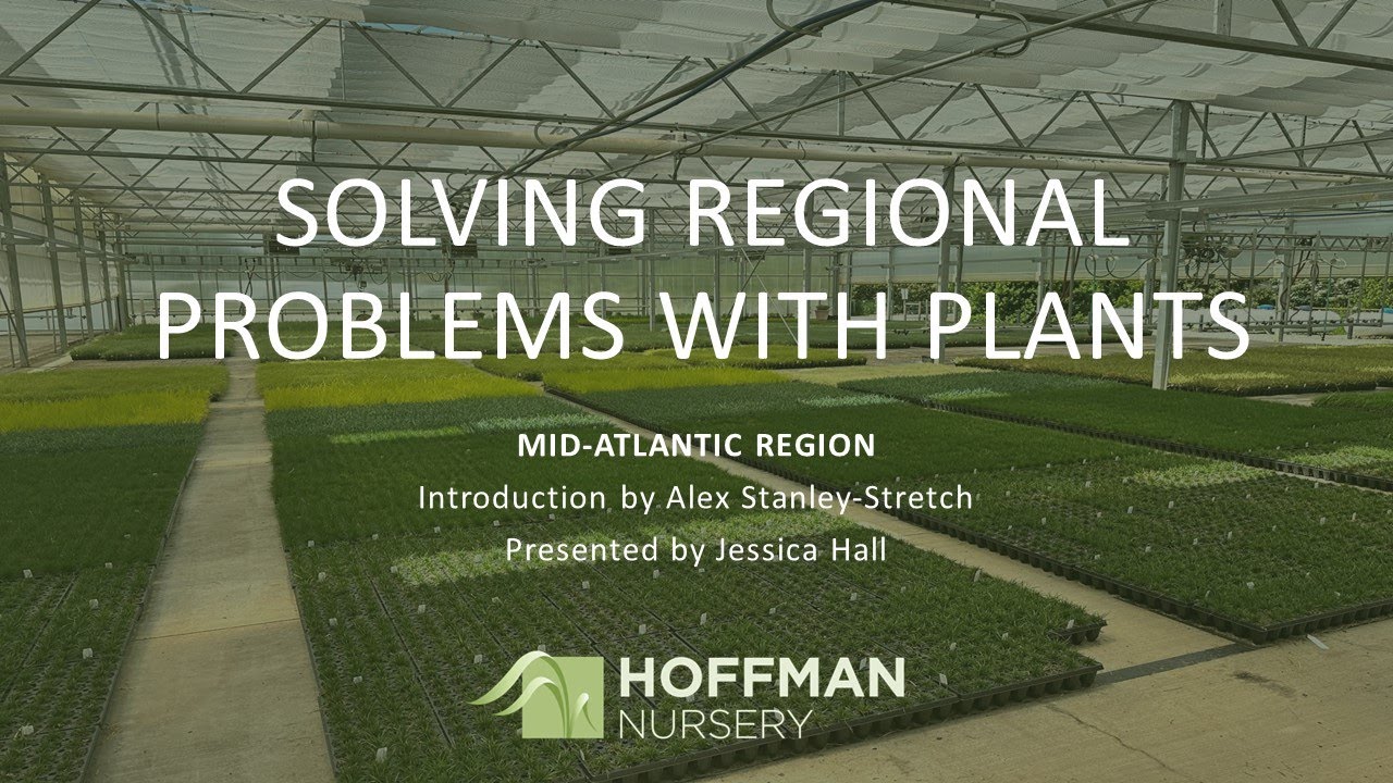 Solving Problems with Plants - Mid-Atlantic - YouTube
