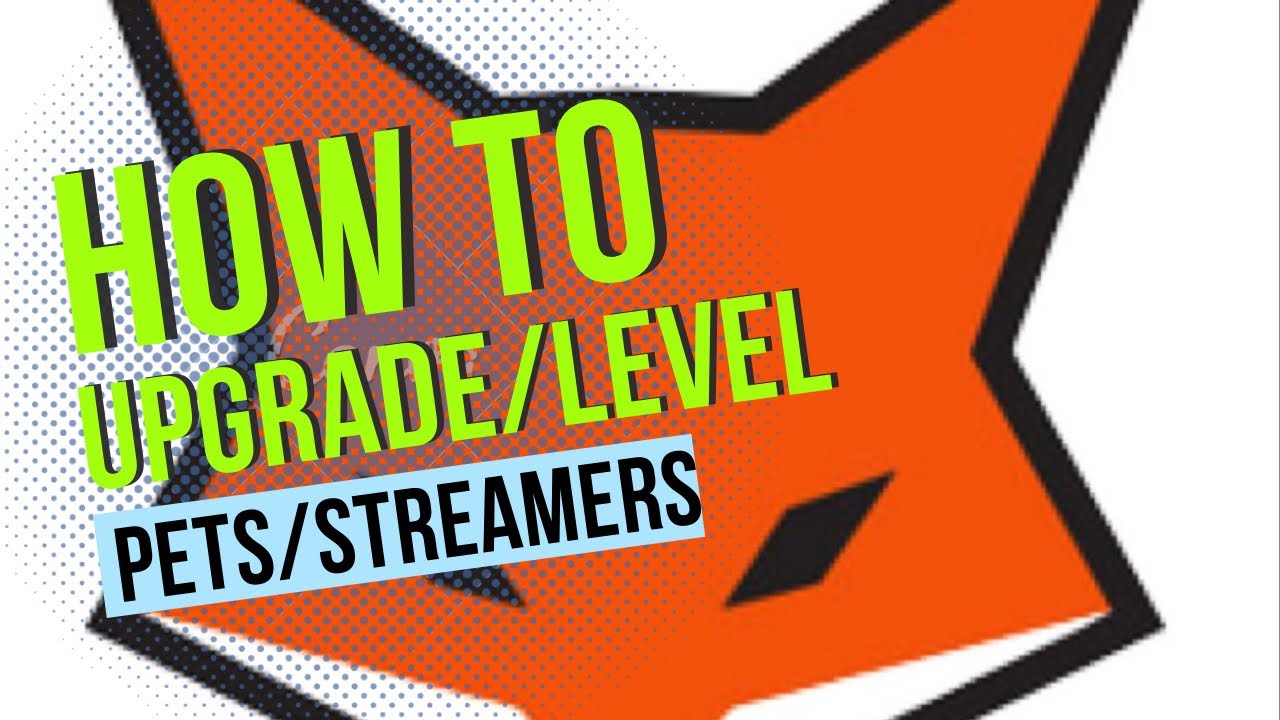 How to Upgrade/Level Pets/Streamers in Clash of Streamers! - YouTube
