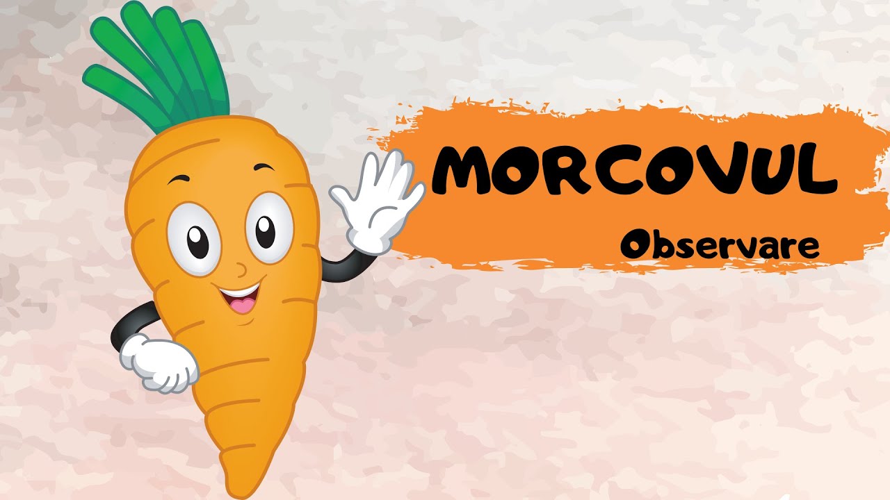 MORCOVUL🥕 - observare || legume ||toamna|| cunoașterea mediului ...