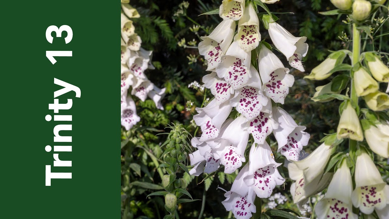 Eucharist for the Thirteenth Sunday after Trinity - YouTube