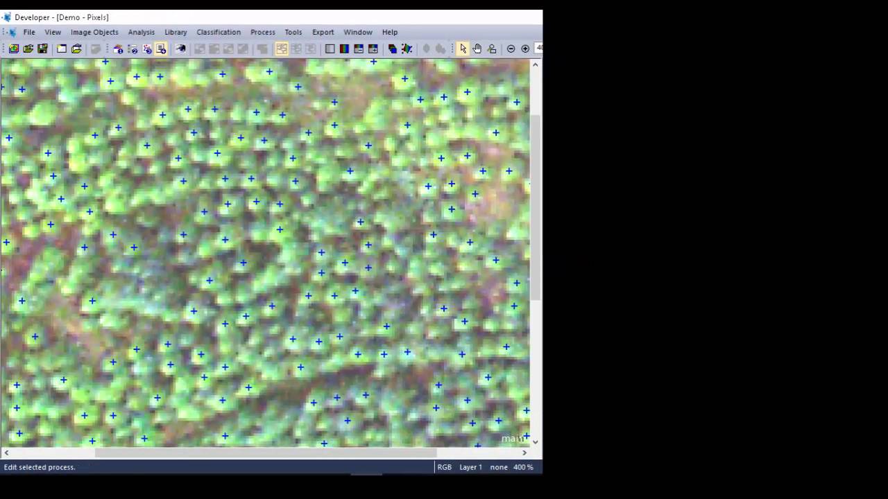 Cara Hitung Pohon Otomatis (Tree Counting) dengan eCognition - YouTube