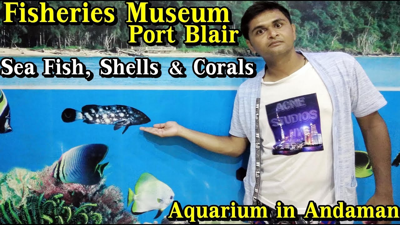 Fisheries Aquarium Port Blair | Shells, Corals & Fishes at Fisheries ...