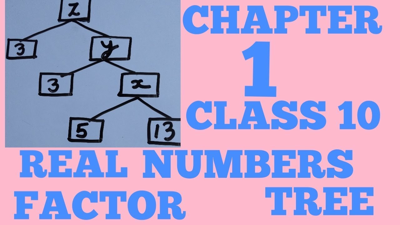 REAL NUMBERS ||CLASS 10 || FACTOR TREE|| IMPORTANT QUESTIONS||PREVIOUS ...