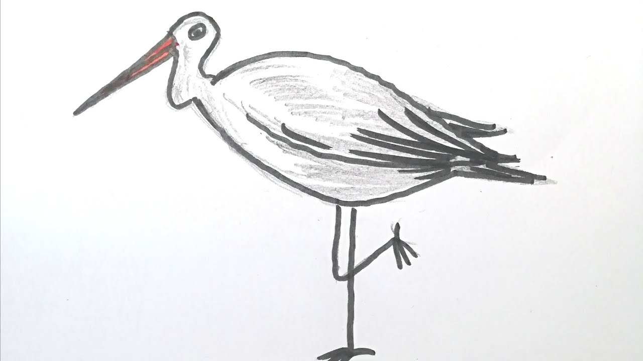 Kolay, Basit, leylek çizimi, leylek nasıl çizilir, How to draw a Stork ...
