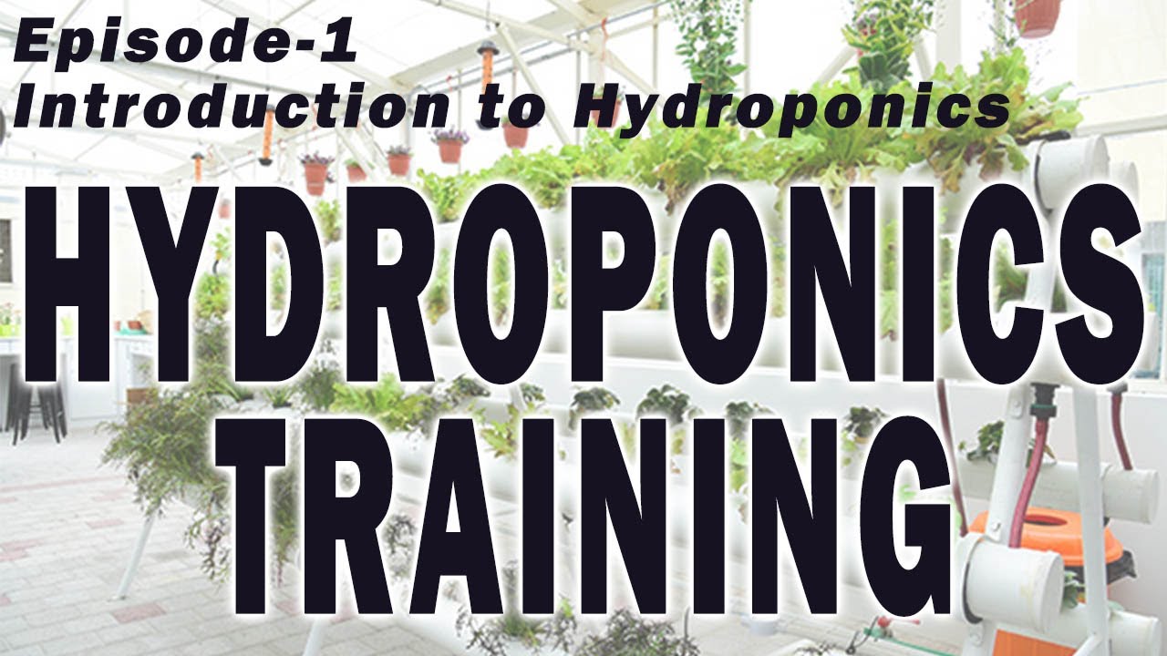 Hydroponics Training - Episode 1 (Introduction to Hydroponics ...