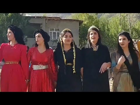 2021 HAKKÂRİ ŞEMDİNLİ DÜĞÜNLERİ HERKİ AŞİRETİ DÜĞÜNLERİ