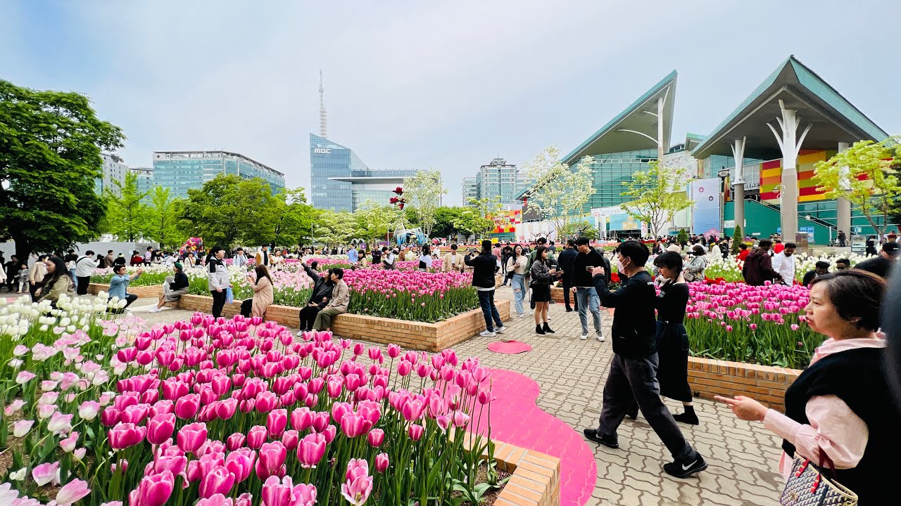 Explore the 2023 Goyang International Flower Festival - YouTube