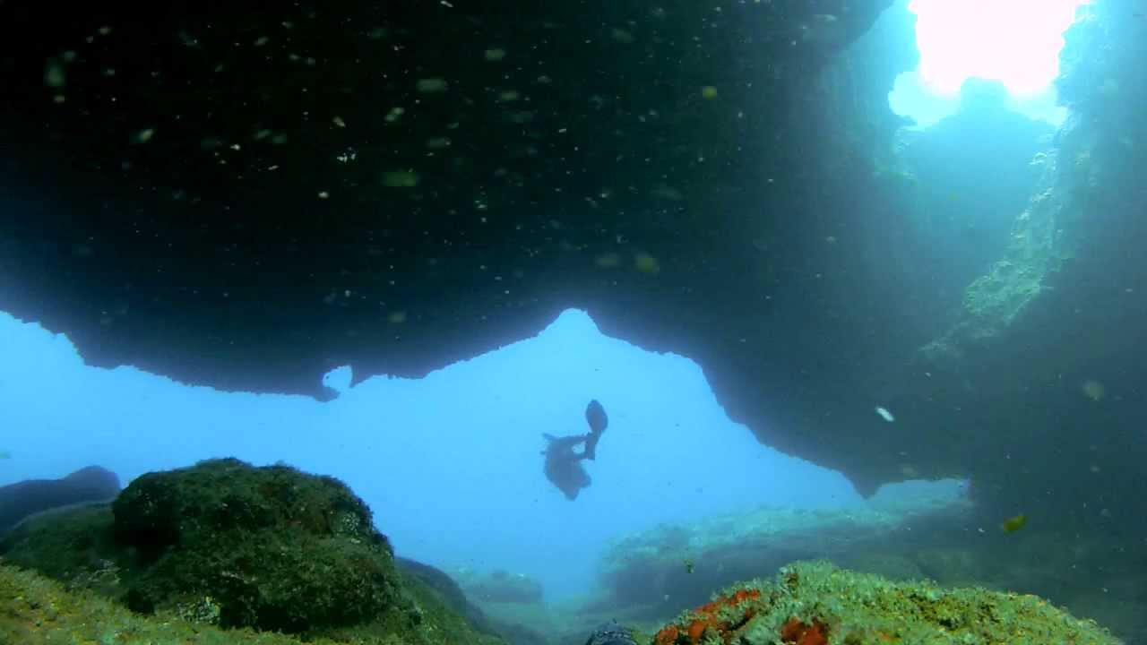 Sharks Cove Cave Tour - YouTube