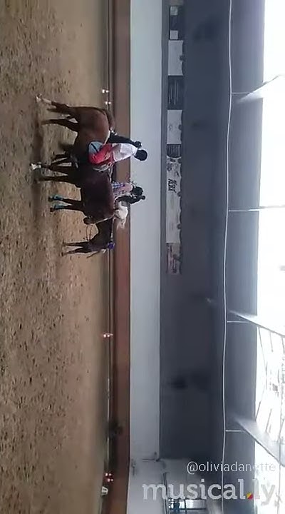 Christophe Fanton, centre hippique des alpes - YouTube