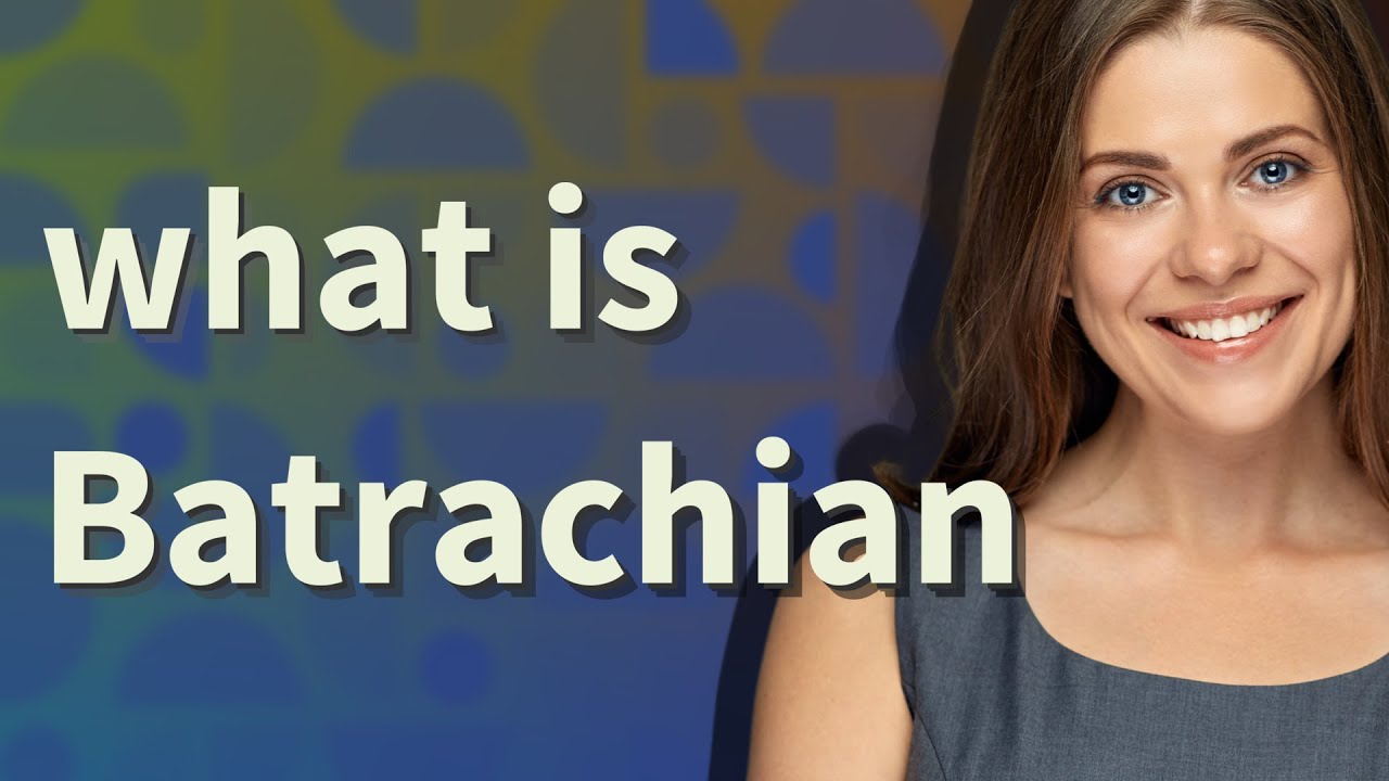 Batrachian | meaning of Batrachian - YouTube
