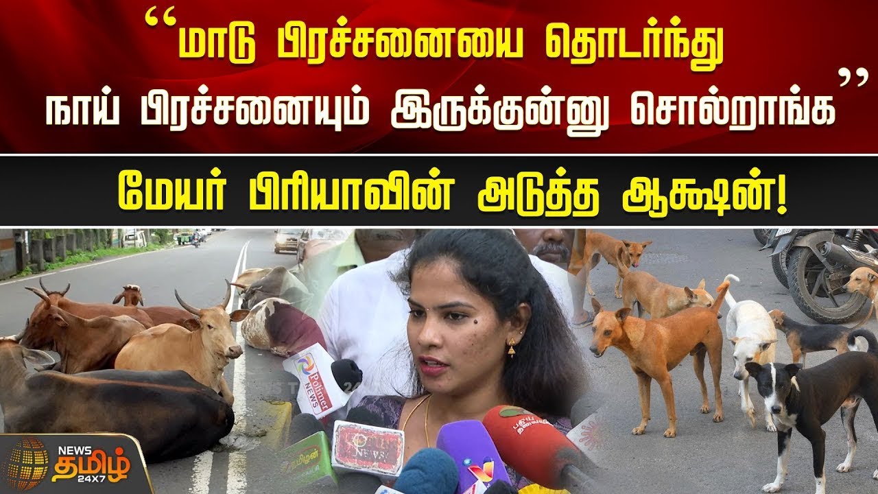 ”மாடு பிரச்சனையை தொடர்ந்துநாய் பிரச்சனையும் இருக்குன்னு சொல்றாங்க ...