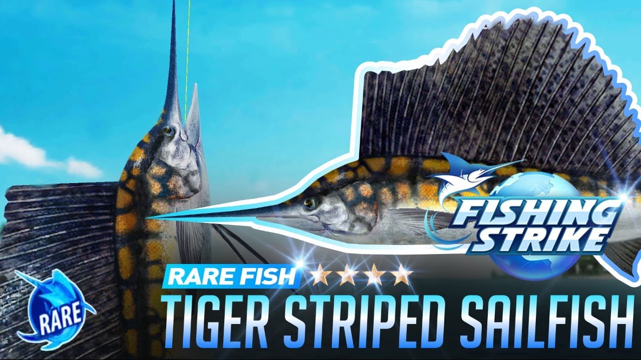 《釣魚大亨 Fishing Strike》 Coral Sea Rare fish Tiger striped sailfish catch ...
