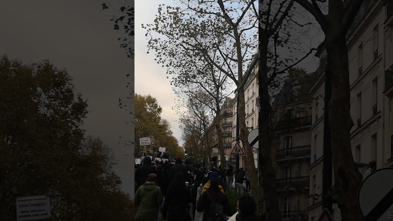 Manifestation contre le chlordécone. - YouTube