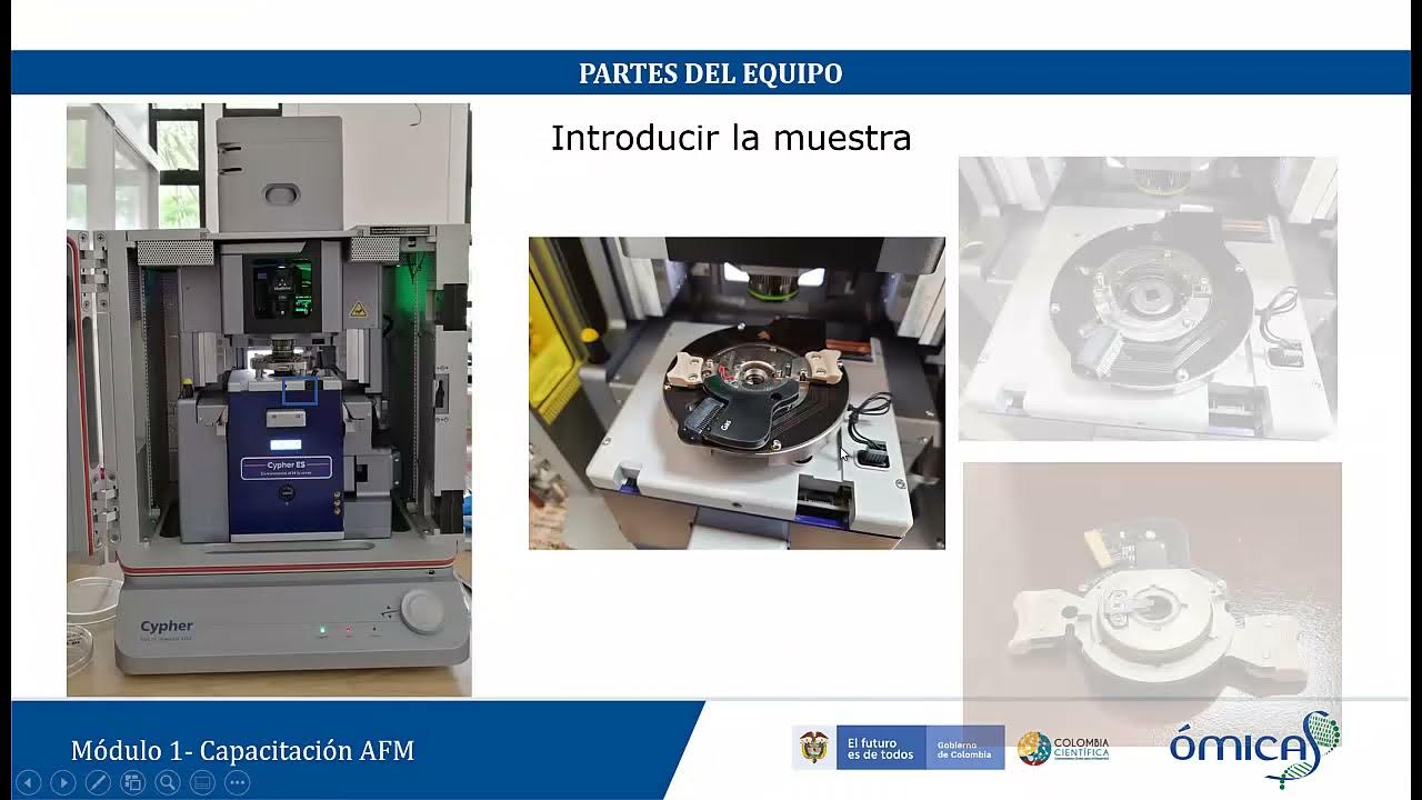 Capacitación de Microscopio de Fuerza Atómica (AFM) - Modo contacto ...