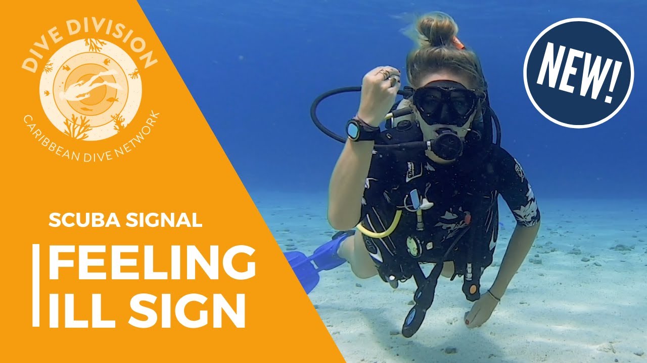 NEW PADI Hand Signal: "I Don't Feel Well" - How To Scuba Sign Tutorial ...